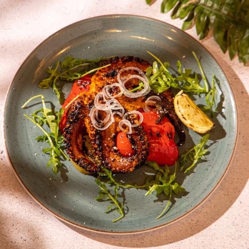 Fred's The Best Seafood In Cancun | Blvd. Kukulcan 14.5 Review